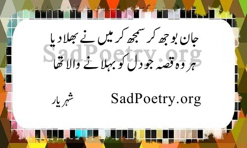 جان بوجھ کر سمجھ کر میں نے بھلا دیا | SadPoetry.org