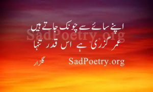 Is Qadar Tanha | SadPoetry.org