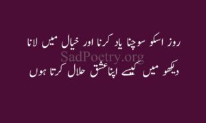 2 Line Urdu Poetry | SadPoetry.org